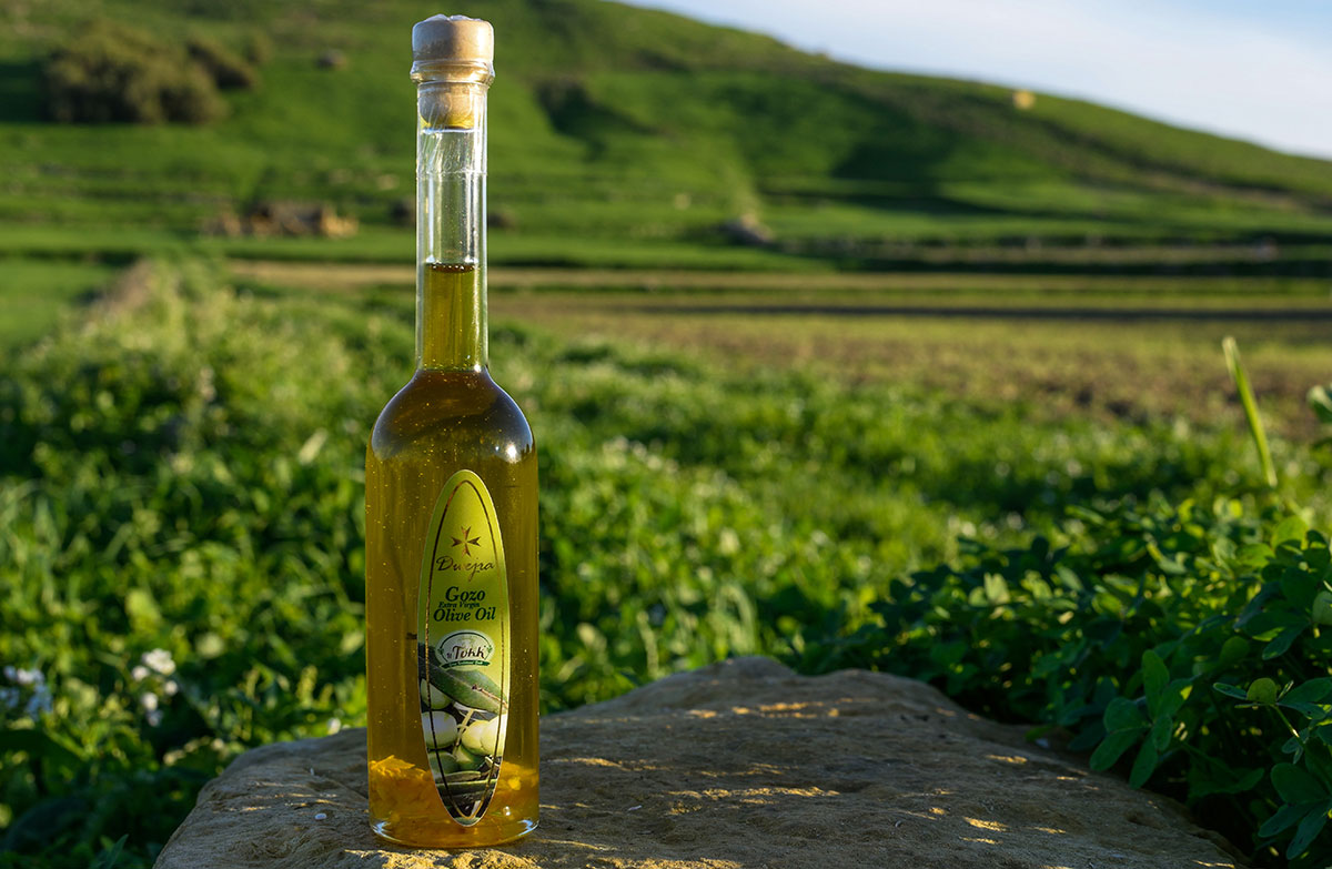 Gozo Extra Virgin Olive Oil with Garlic : It-Tokk - Gozo Traditional Food